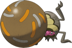 Bérasca — Poképédia