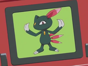 Farfuret — Poképédia