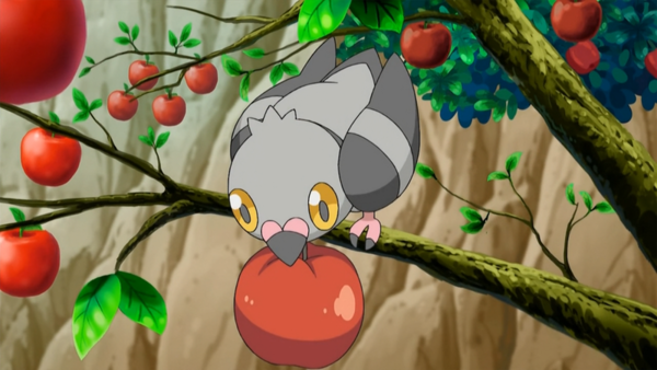 Poichigeon — Poképédia