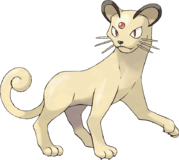 Miaouss — Poképédia