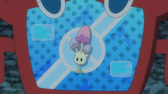 Spododo — Poképédia