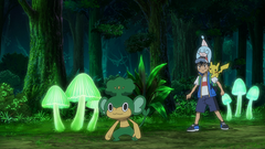 LV139 — Poképédia