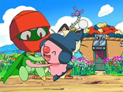 Chatouille — Poképédia