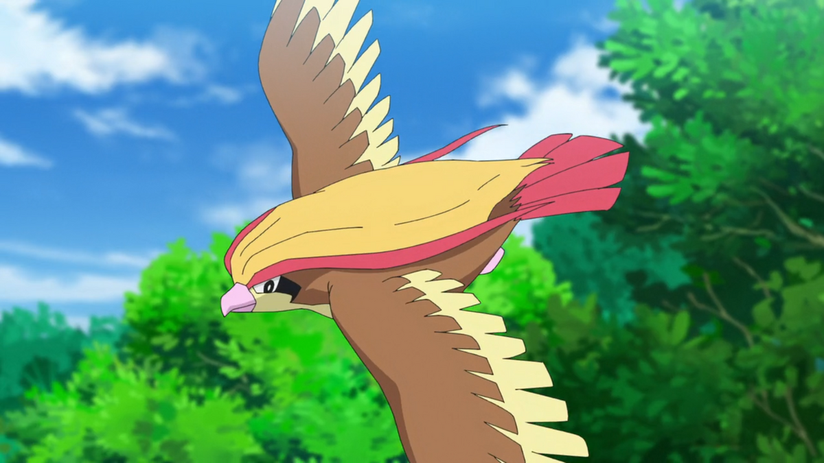 Roucarnage de Sacha — Poképédia