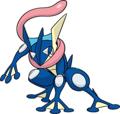 Amphinobi/Imagerie — Poképédia