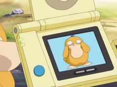 Psykokwak — Poképédia
