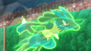 Lucario du Professeur Euphorbe — Poképédia