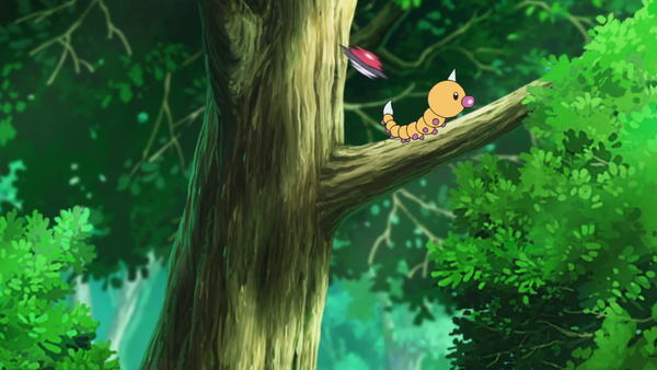 Aspicot — Poképédia