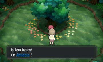 Route 20 (Kalos) — Poképédia