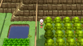 Route 227 — Poképédia