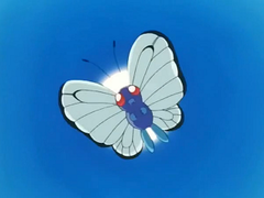 EP207 — Poképédia