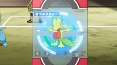 Arcko — Poképédia