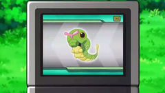 Chenipan — Poképédia