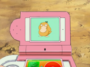 Psykokwak — Poképédia
