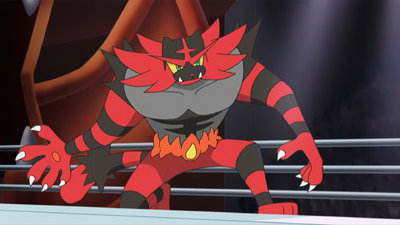 Professeur Euphorbe/Pokémon, la série — Poképédia