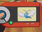 Tylton — Poképédia