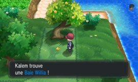 Route 12 (Kalos) — Poképédia