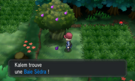 Route 20 (Kalos) — Poképédia