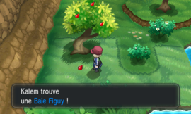 Route 21 (Kalos) — Poképédia