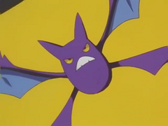 Nostenfer — Poképédia