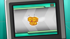 Apitrini — Poképédia