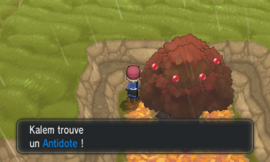 Route 15 (Kalos) — Poképédia
