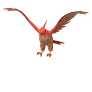 Flambusard/Imagerie — Poképédia