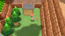 Route 205 — Poképédia