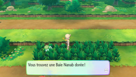 Route 15 (Kanto) — Poképédia