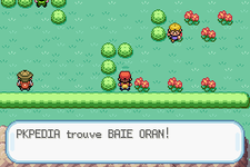 Route 25 (Kanto) — Poképédia