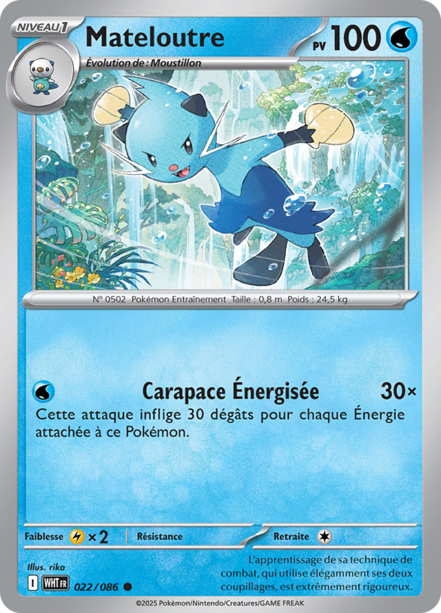 Mateloutre (Écarlate et Violet Flamme Blanche 022) — Poképédia