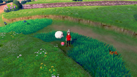 Route 1 (Galar) — Poképédia