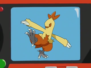 Galifeu — Poképédia