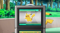 Pikachu — Poképédia
