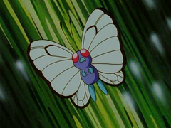 EP008 — Poképédia