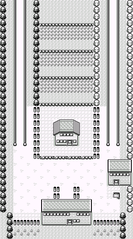 Route 5 (Kanto) — Poképédia