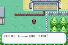 Route 7 (Kanto) — Poképédia