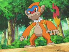 DP153 — Poképédia