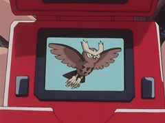 Noarfang — Poképédia