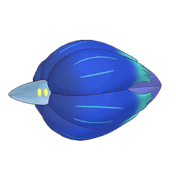 Floréclat/Imagerie — Poképédia