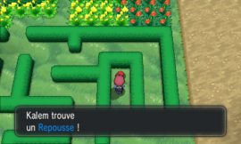 Route 4 (Kalos) — Poképédia