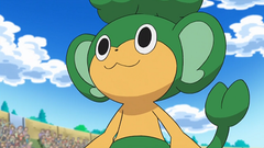 NB072 — Poképédia