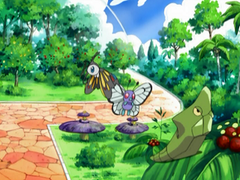 Catégorie:Image de dessin animé représentant Chrysacier — Poképédia