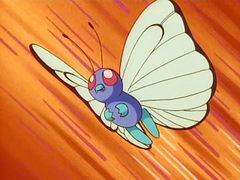 EP019 — Poképédia