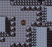 Pokémon Prism — Poképédia