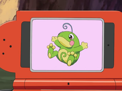 Tarpaud — Poképédia