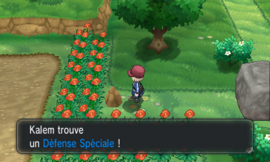 Route 21 (Kalos) — Poképédia