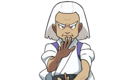 Expert — Poképédia