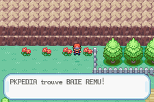 Route 25 (Kanto) — Poképédia