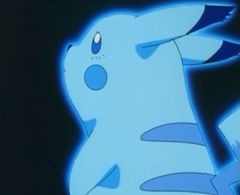 Puka — Poképédia